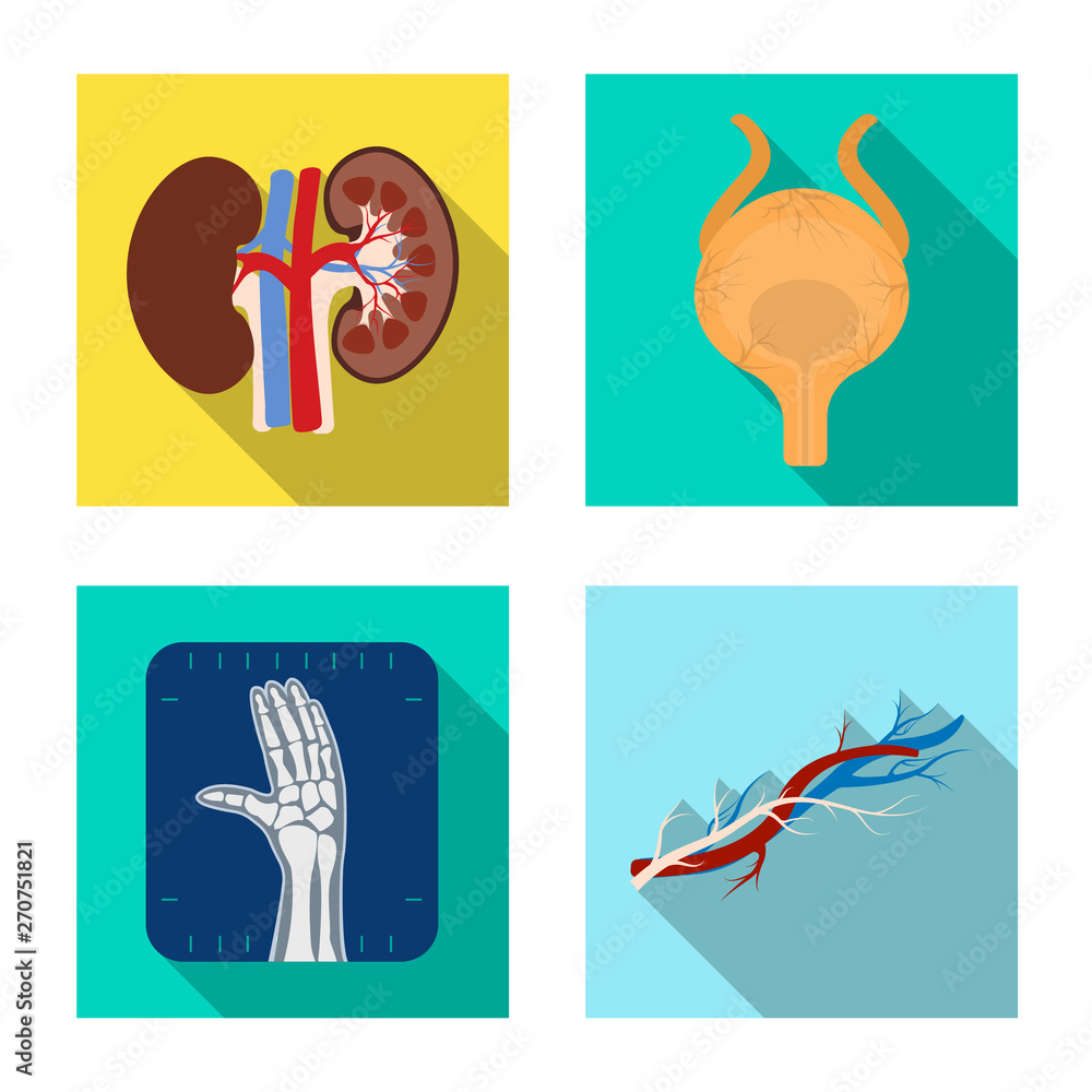 Vector design of body and human symbol. Set of body and medical vector ...