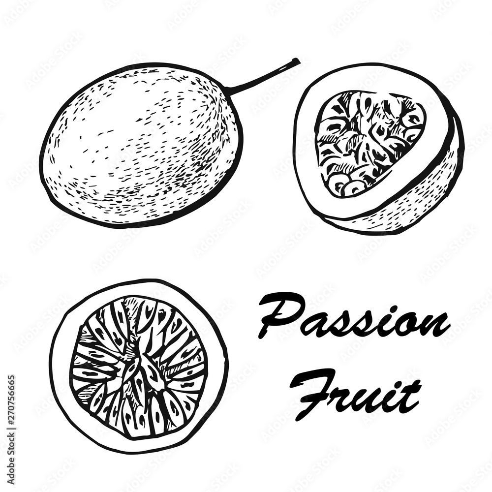 Passion fruit illustration. Exotic tropical fruit drawings isolated on ...