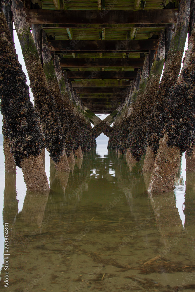 The symmetry of the piling under a fishing pier with barnacles ...