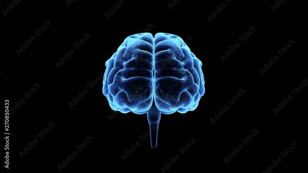 Brain head mind image background Stock Video | Adobe Stock