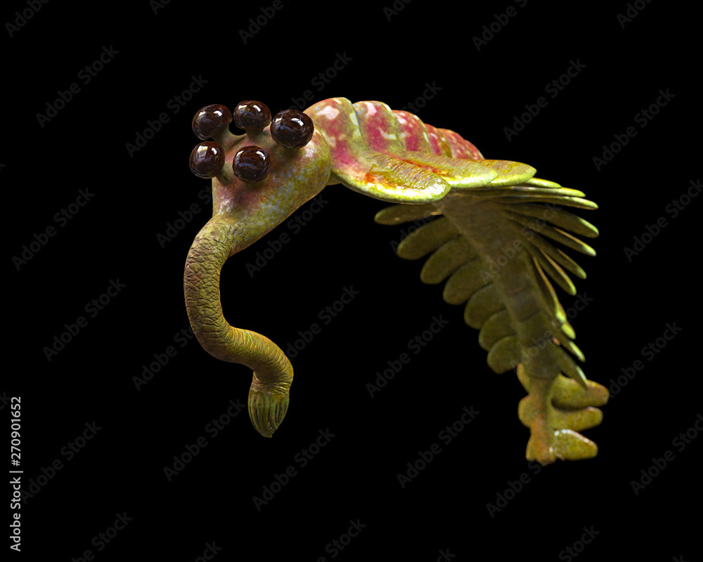 Opabinia regalis, prehistoric aquatic animal from 505 million ago to ...