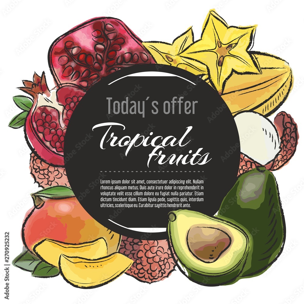 Tropical fruits vector menu design templates. Vector fruit illustration ...