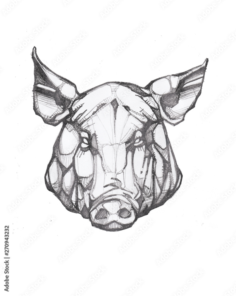 Pig head pencil sketch drawing Stock Illustration | Adobe Stock