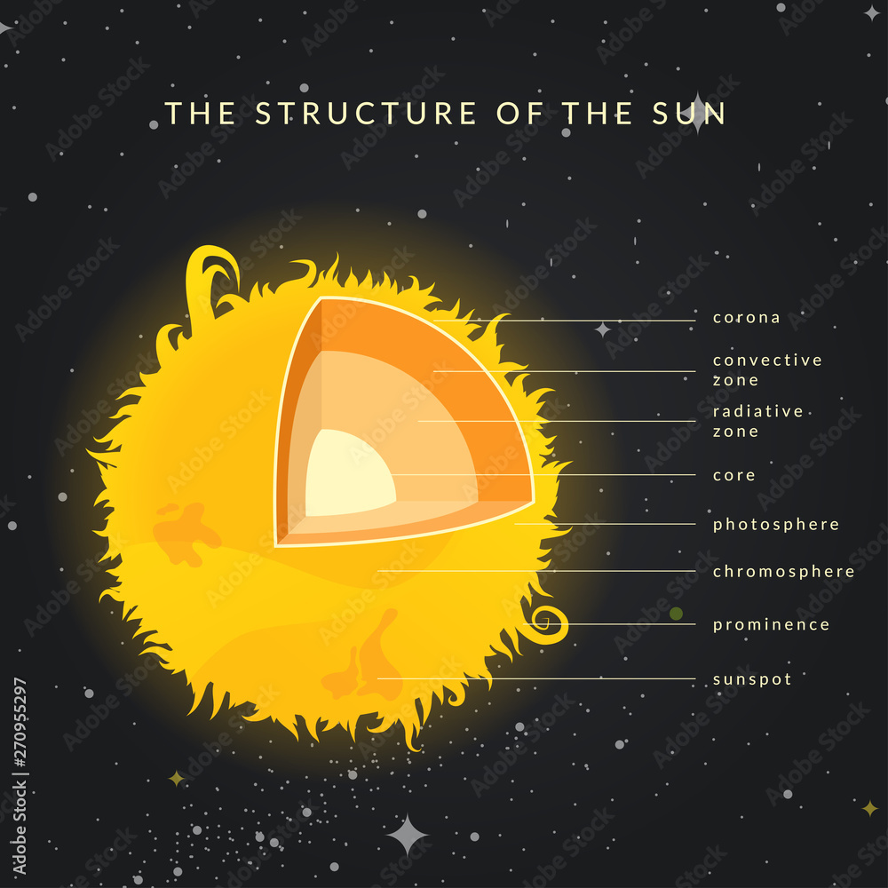 vector image of the detailed structure of the sun against the space ...