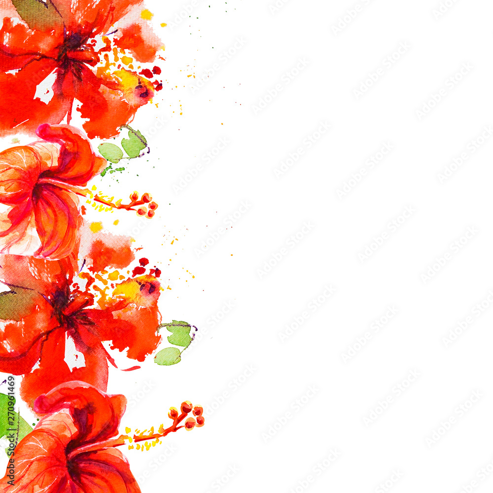 Red Hibiscus Border
