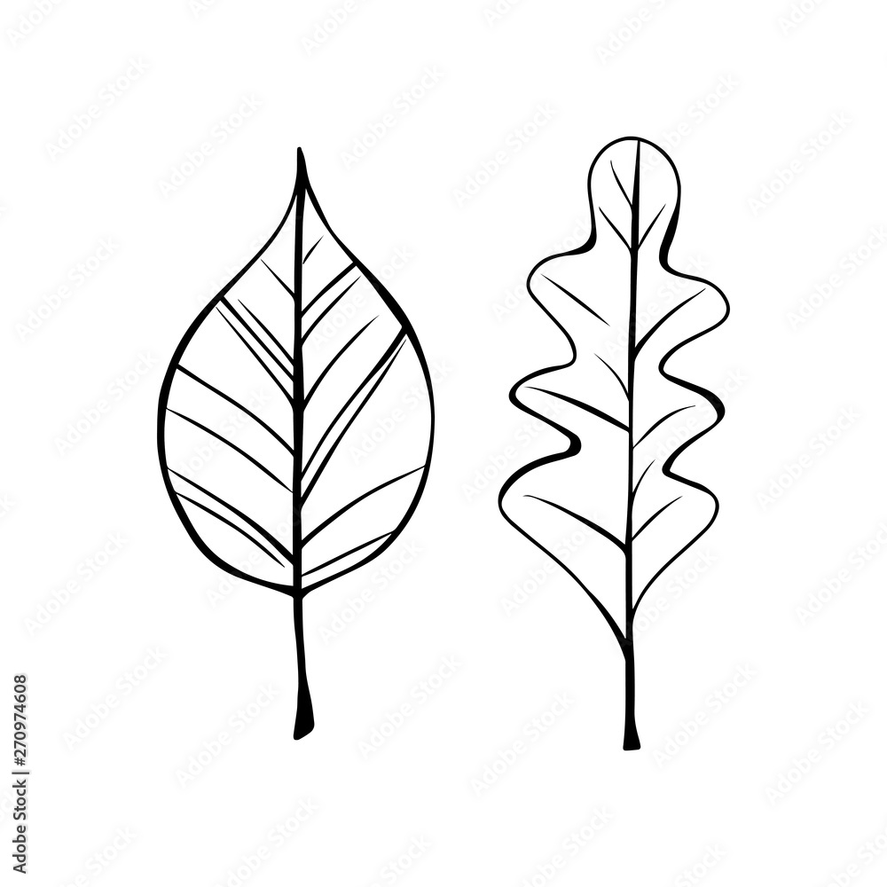 Cartoon Black And White Leaves