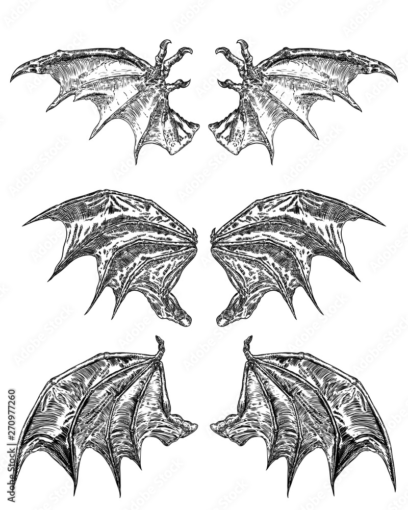 Set of hand drawn vintage etched woodcut fallen angel or vampire ...