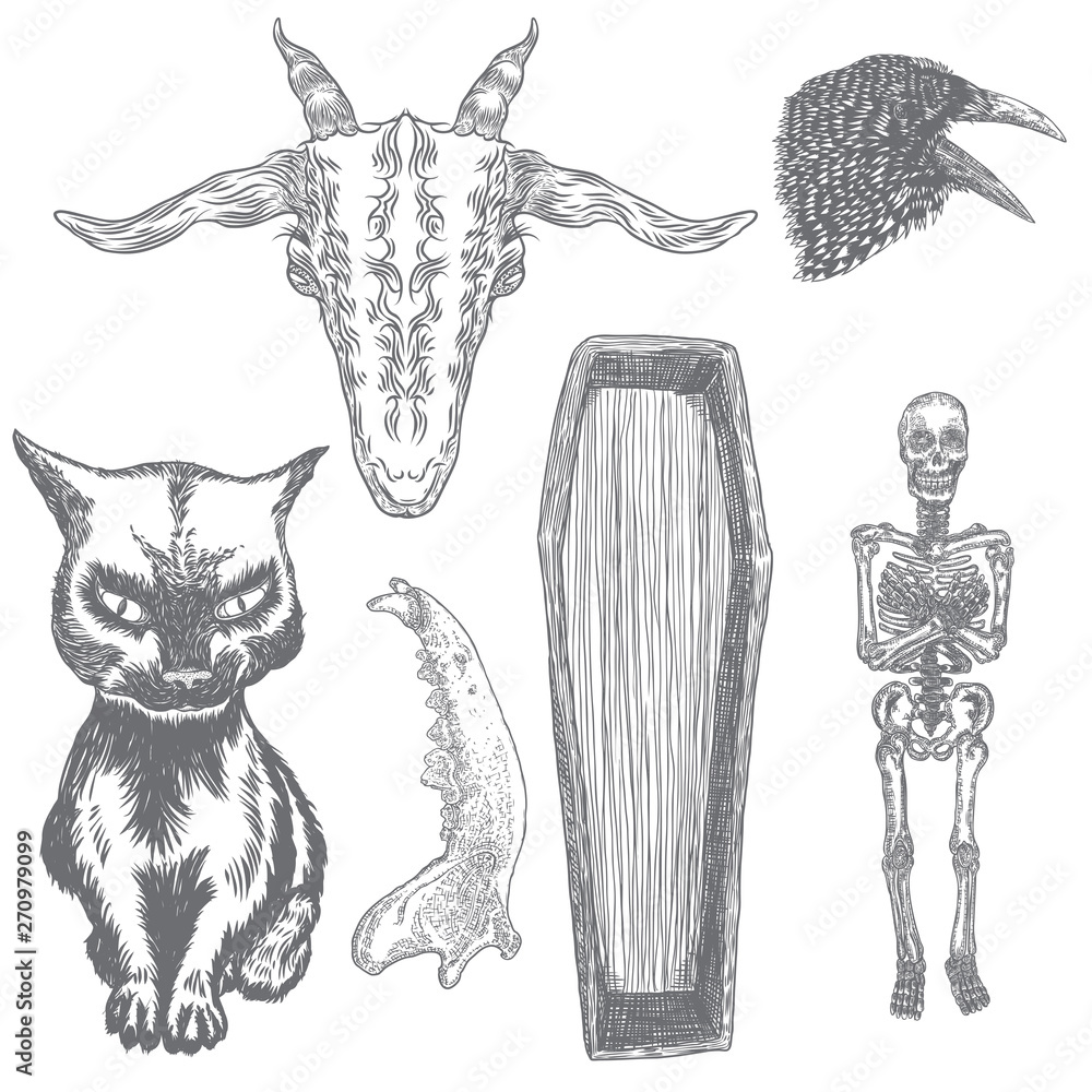 Large alchemy symbol elements set. Birds raven crow, evil goat, coffin ...