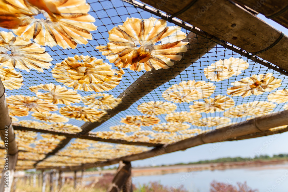 Dried Stingrays fish. The preserved fishes, cut and clean the fishes ...