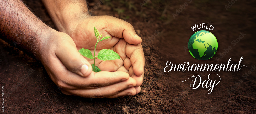 Save nature World Environment Day concept image holding hand with tree ...