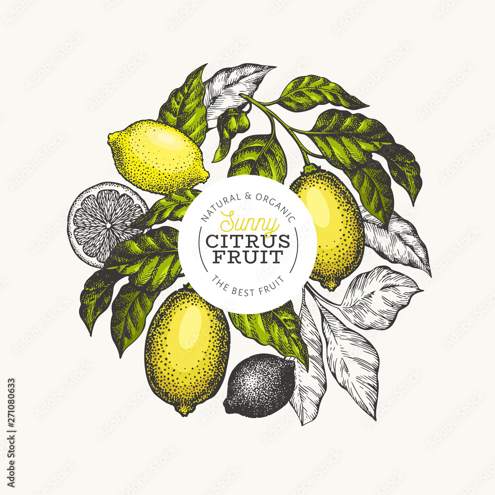 Lemon tree logo template. Hand drawn vector fruit illustration ...