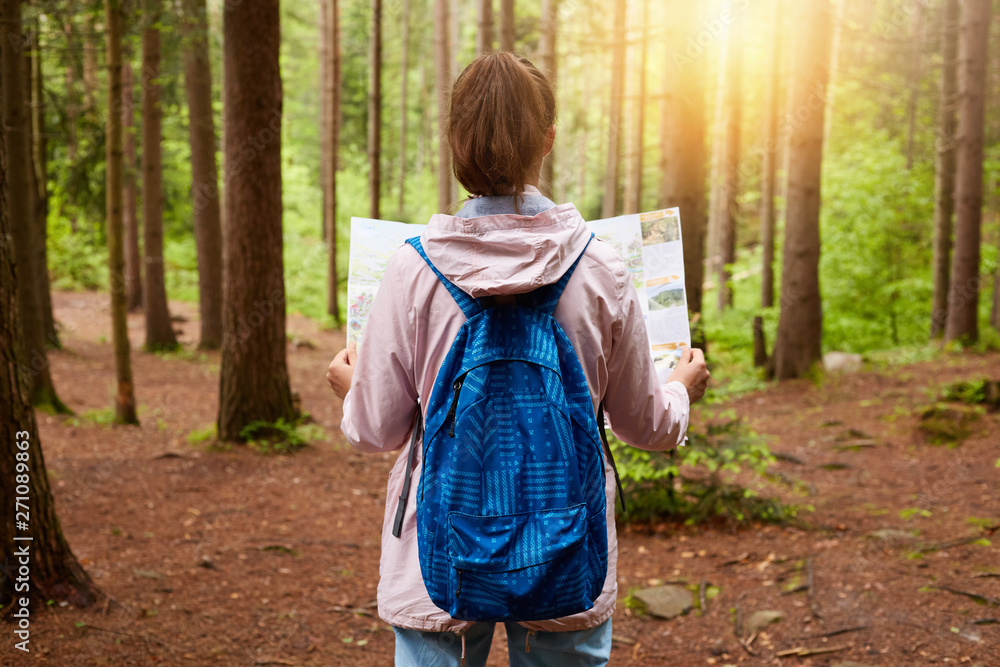 Back view of beautiful young girl with map in hands standing in forest. Tourist wearing rose ...