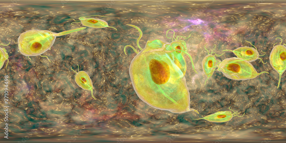 Trichomonas vaginalis protozoan, 360-degree spherical panorama view, 3D ...