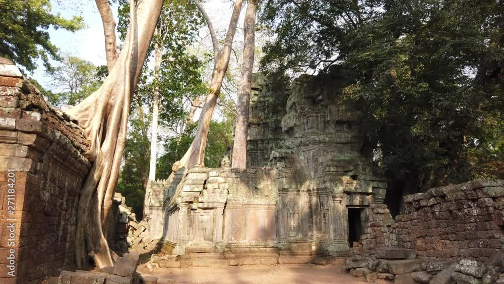 Ta Prom temple is one of the most famous temples of Angkor. TA prom ...