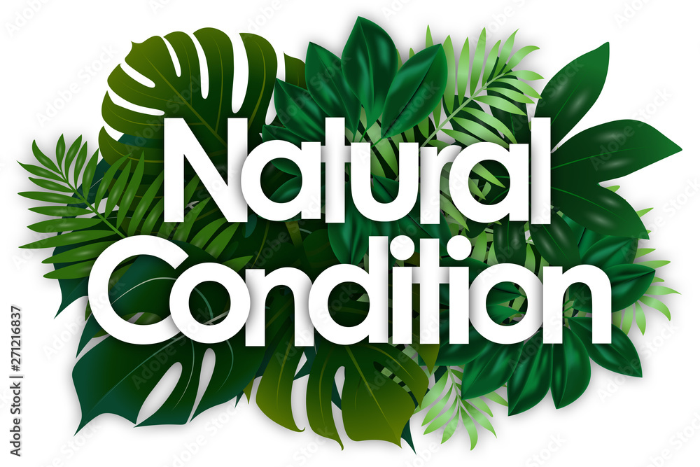 Natural Condition word and green tropical’s leaves background Stock ...
