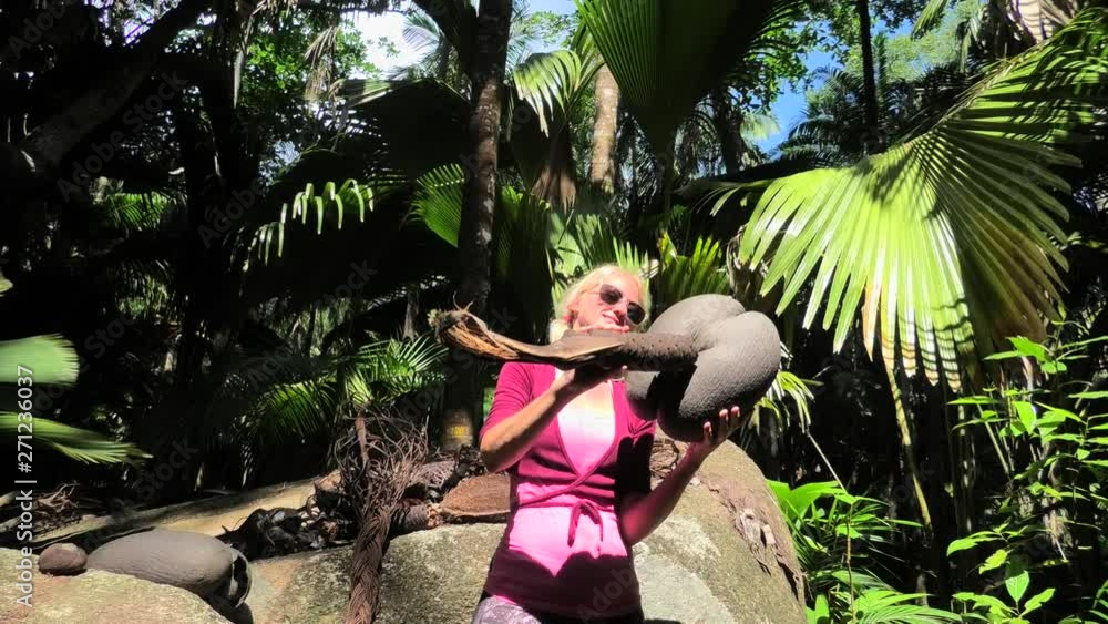 heaving fun with Coco de Mer female and male plants of Lodoicea ...