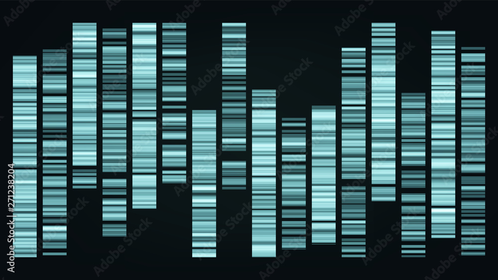 Design Color Big Genomic Data Visualization Vector. Dna Test, Barcoding ...