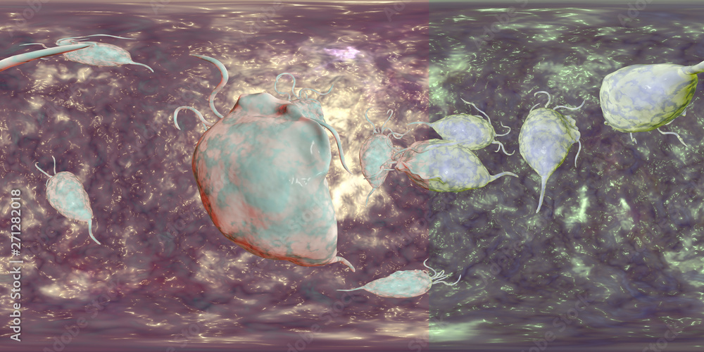 Trichomonas vaginalis protozoan, 360-degree spherical panorama view, 3D ...