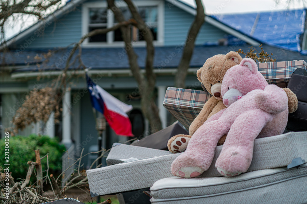 Destroyed Teddy Bear