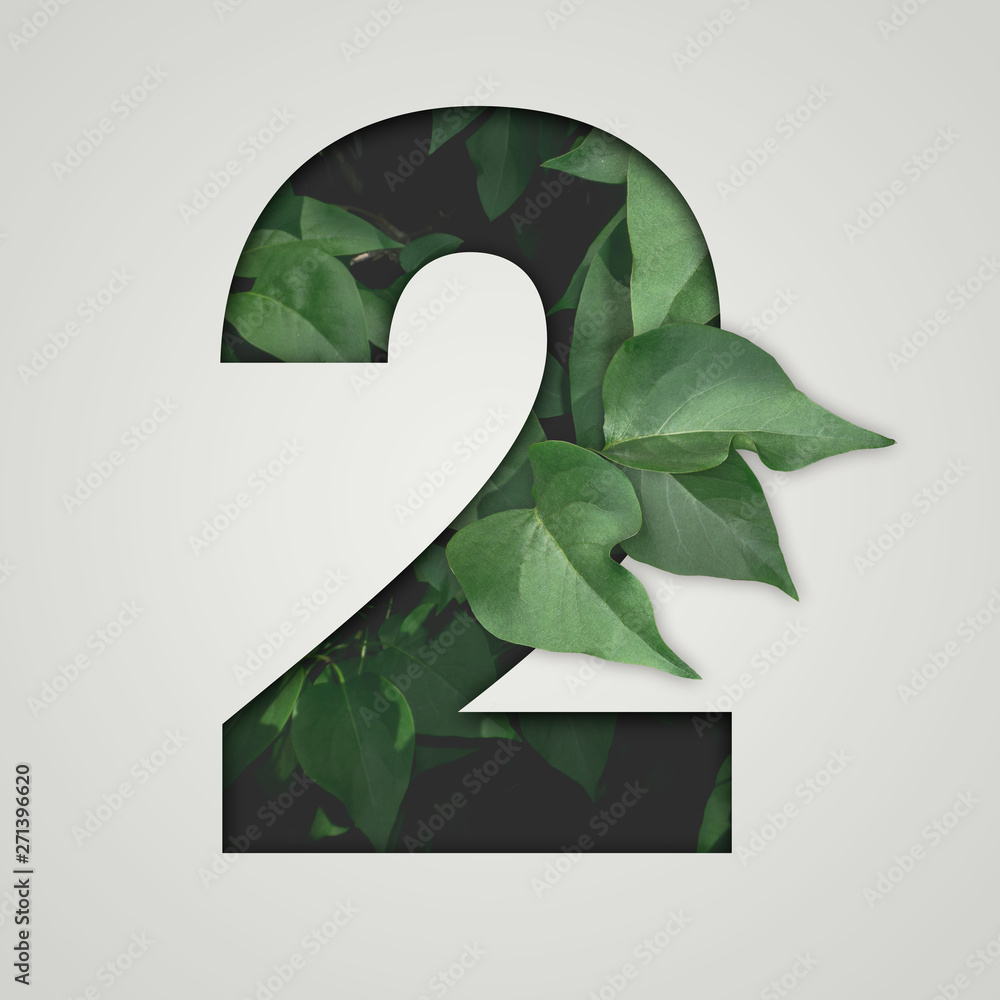 Nature concept. Creative number with green leaves on a gray background ...
