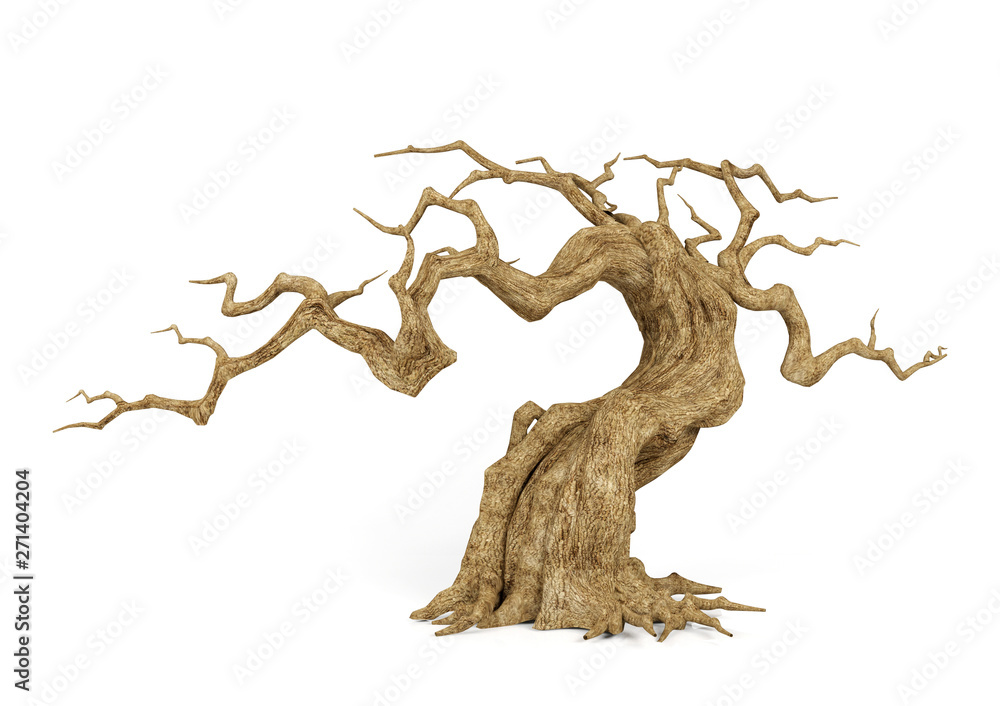 Dead withered tree isolated on white background, decorative object for ...
