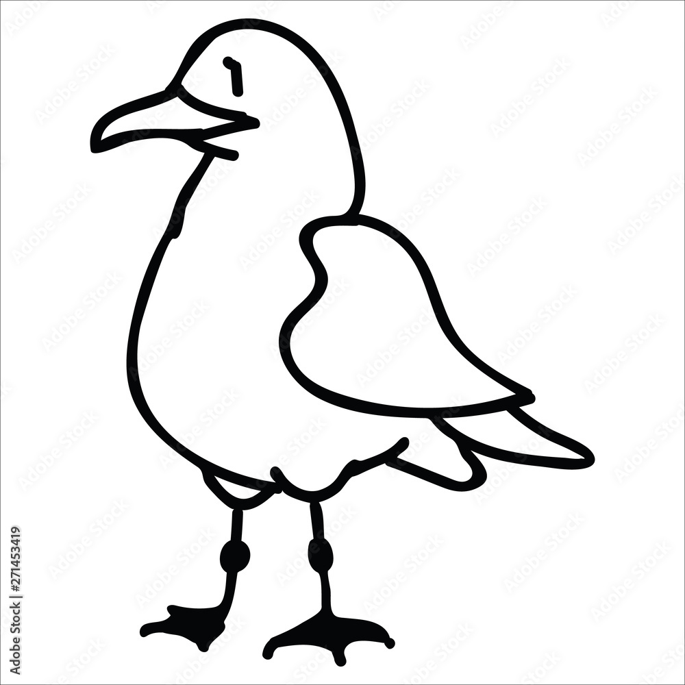Seagull Outline Clipart