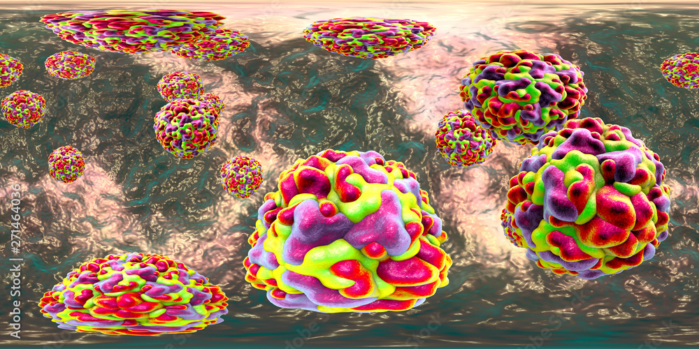 360 degree panorama view of Rhinoviruses, the viruses which cause ...