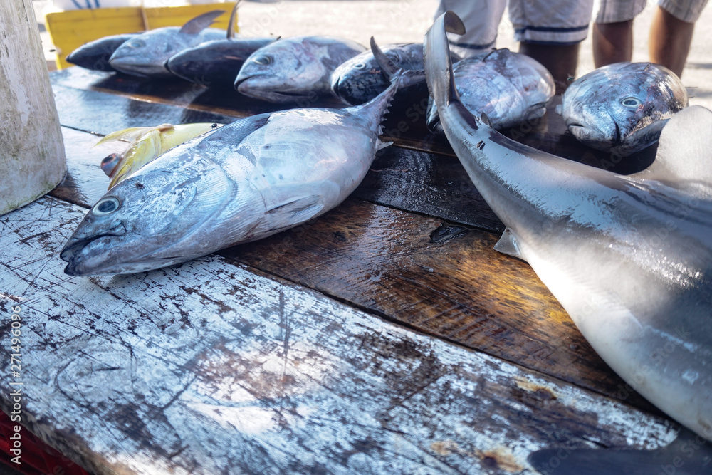 Fish market in Asia. Catching sea and ocean animals in the Indian Ocean ...