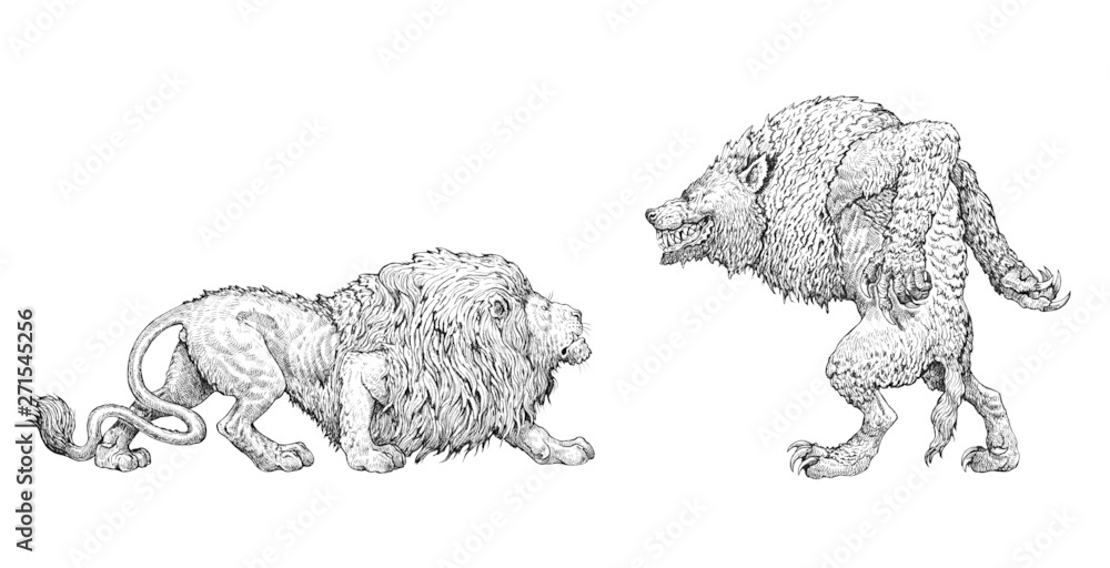 Lion Vs Werewolf