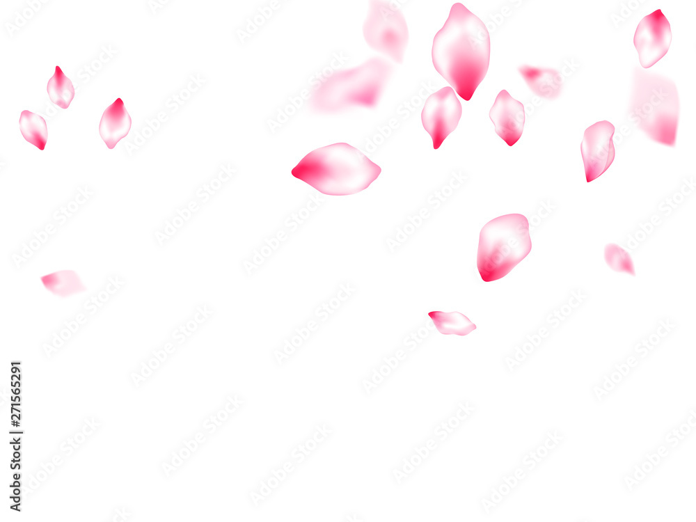 Petals Blowing In The Wind