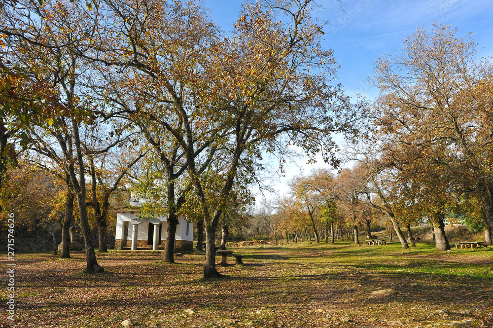 Área recreativa de la ermita de San Isidro en Fuencaliente. Parque ...