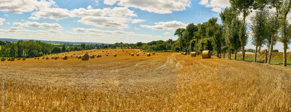 Landschaft Panorama mit Feld nach Ernte im Sommer Stock Photo | Adobe Stock