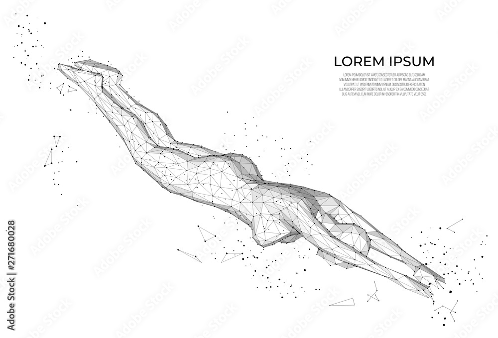 Human body low poly wireframe. Woman Jumping Diving in Swimming Pool ...