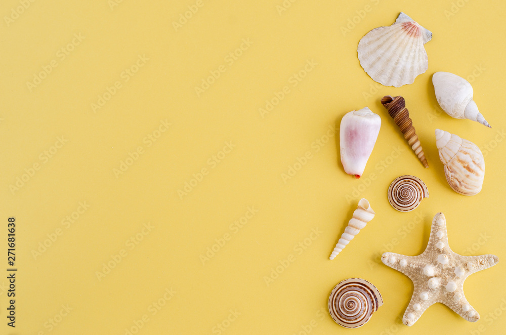 Yellow background with copy space and seashell border Stock Photo ...