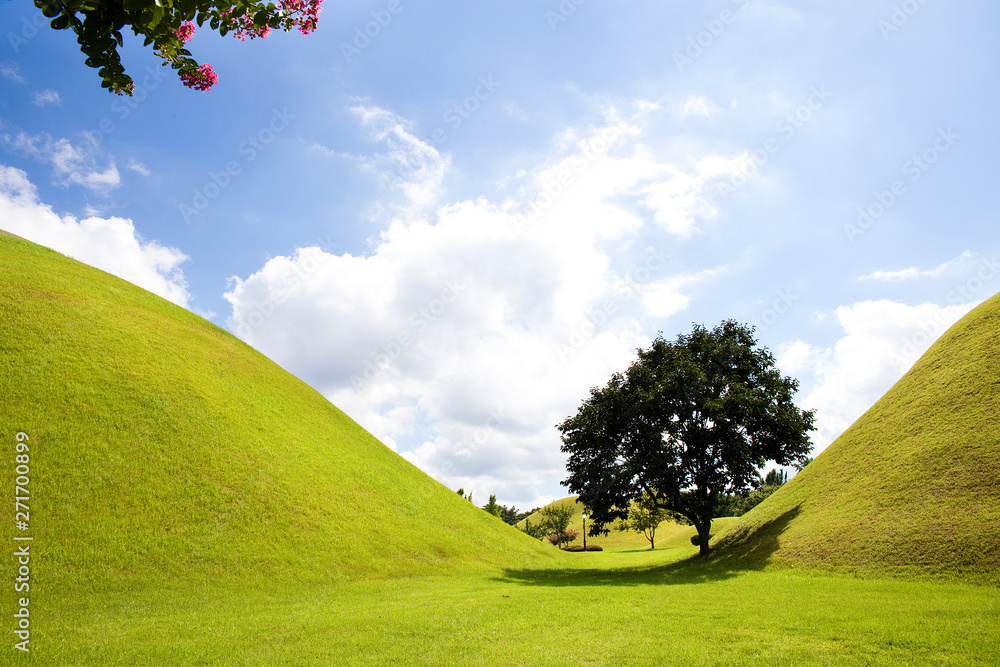 Daereungwon Ancient Tombs is an ancient tomb from the Silla Dynasty ...