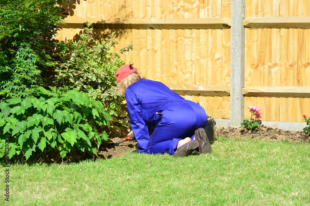 Lady gardening wearing PPE clearing weeds in a garden in the UK Stock ...