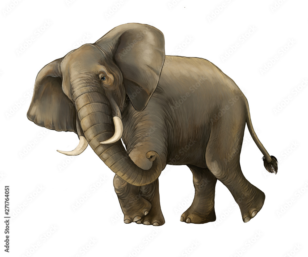 cartoon scene with big elephant on white background safari illustration ...