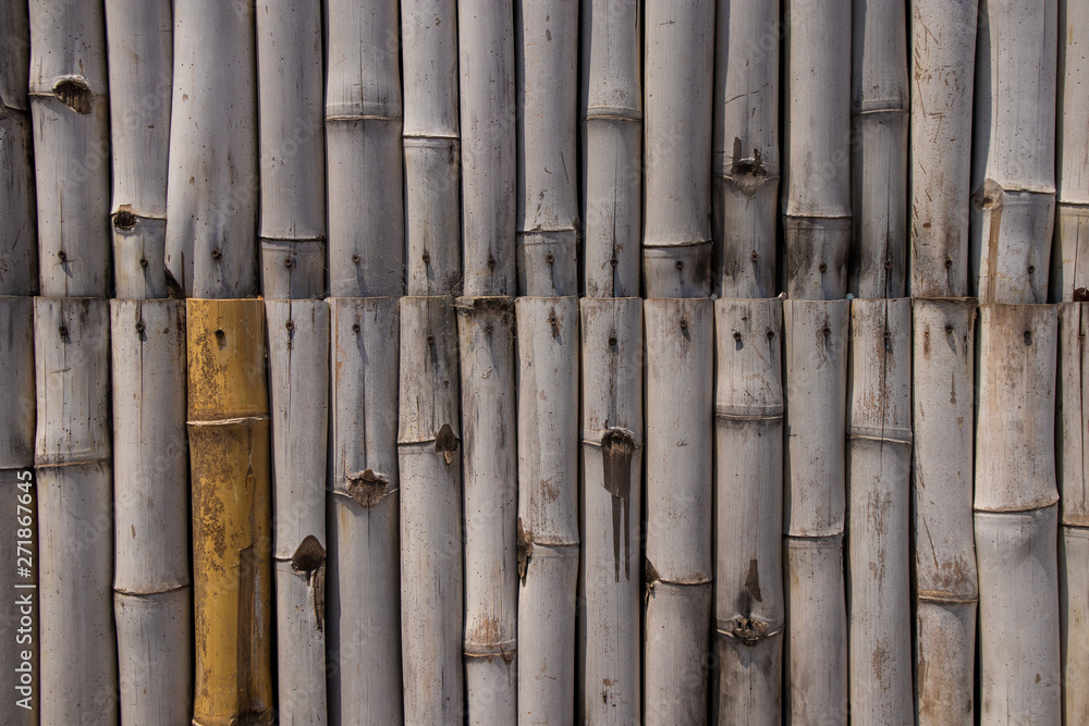 Bamboo Texture Background Stock Photo | Adobe Stock