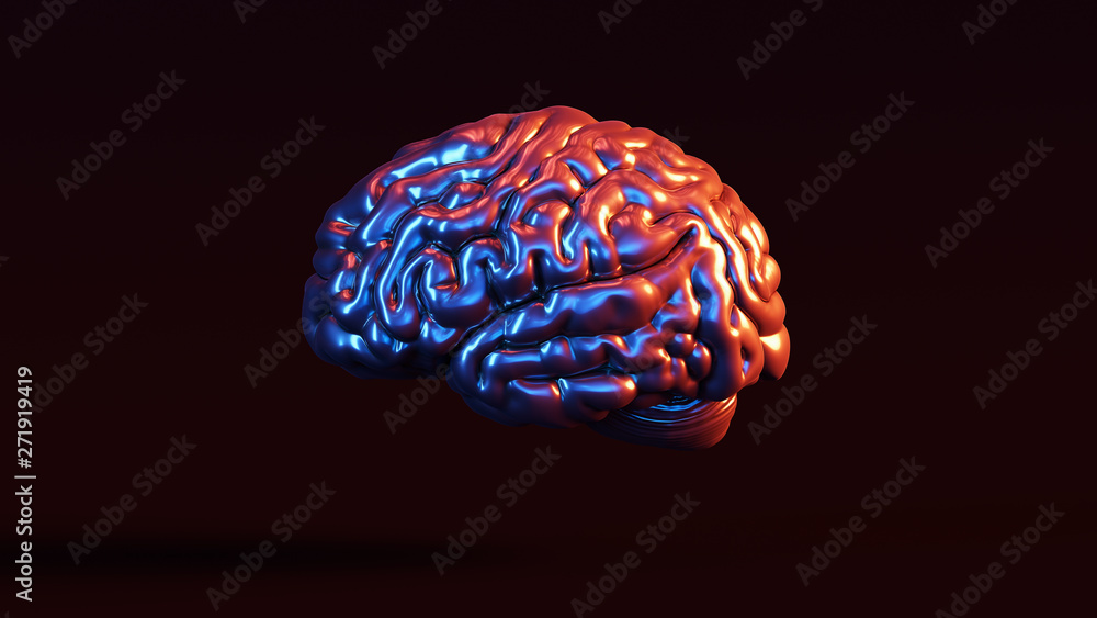 Silver Human brain Anatomical with Red Blue Moody 80s lighting Stock ...