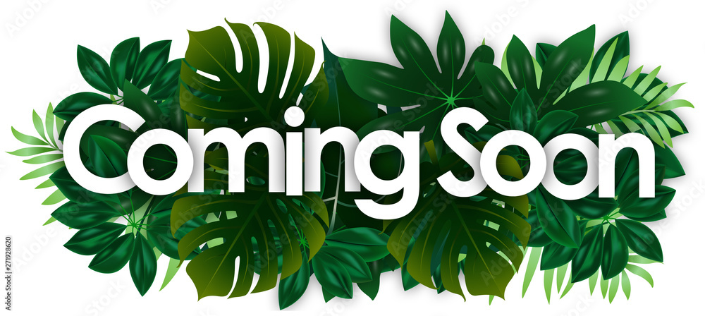 Coming soon word and green tropical’s leaves background Stock ...