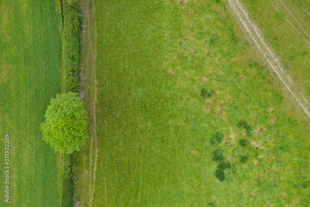 Overhead view of. a typical british farmers field and hedgerow with ...