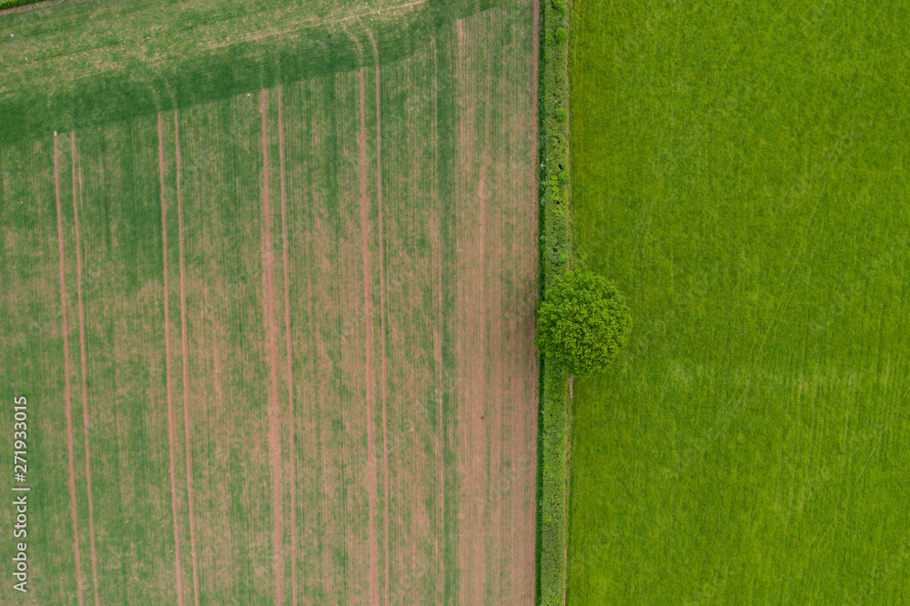 Overhead view of. a typical british farmers field and hedgerow with ...
