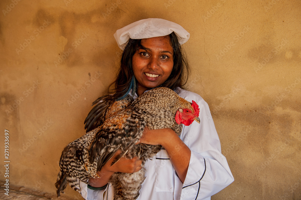 Attractive Indian woman cook posing in kitchen with chicken in her ...