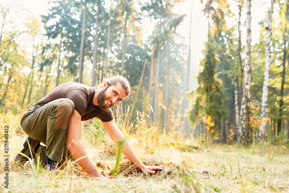 Waldarbeiter beim Einpflanzen von Setzling Stock Photo | Adobe Stock