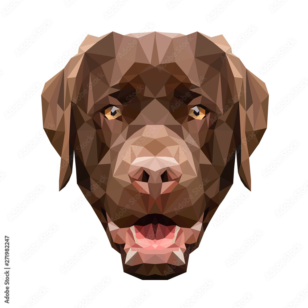Labrador Retriever Chocolate Lab Canine Dog Head Face Vector ...