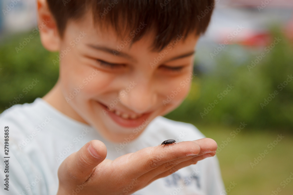 insect a bug on the child's palm, on a face at the boy a smile he is ...