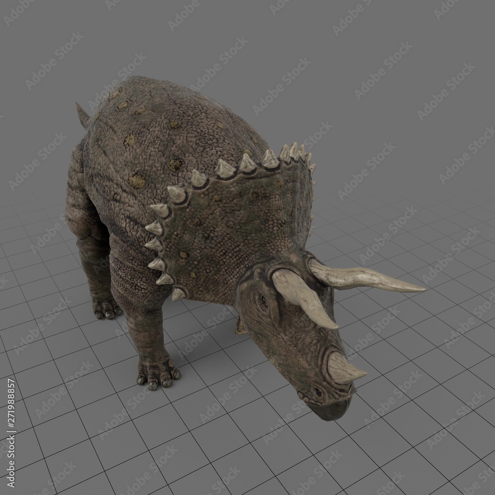 Triceratops Stock 3D asset | Adobe Stock