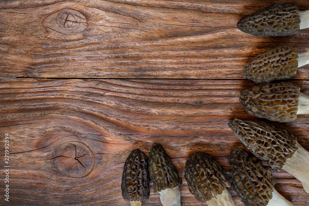 Morel conical (Morchella conica), delicious edible mushrooms, a ...
