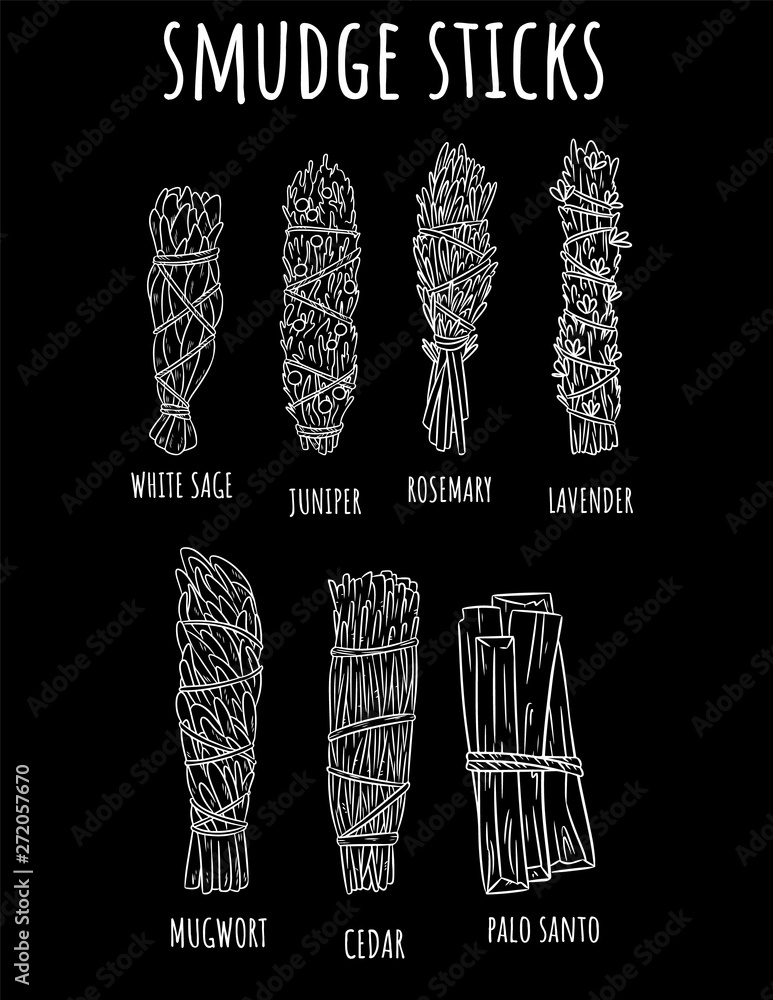 Sage smudge sticks hand-drawn set of sketch doodles on chalkboard. Herb ...