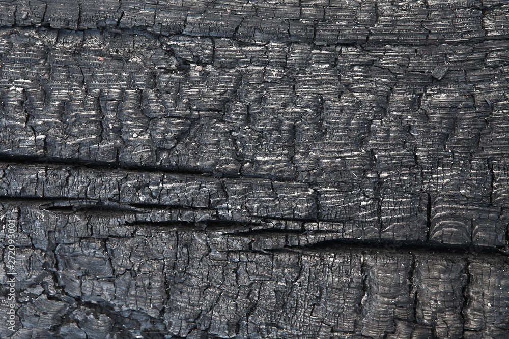 Scorched wood texture. Burned wood structure background. Burnt timber ...